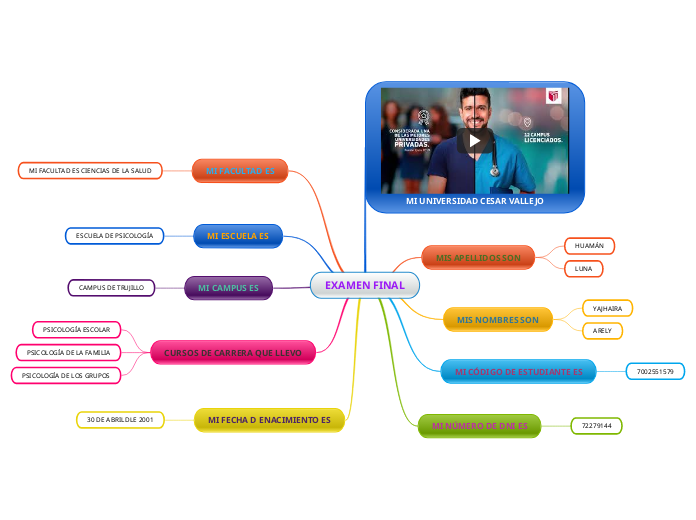 EXAMEN FINAL - Mind Map